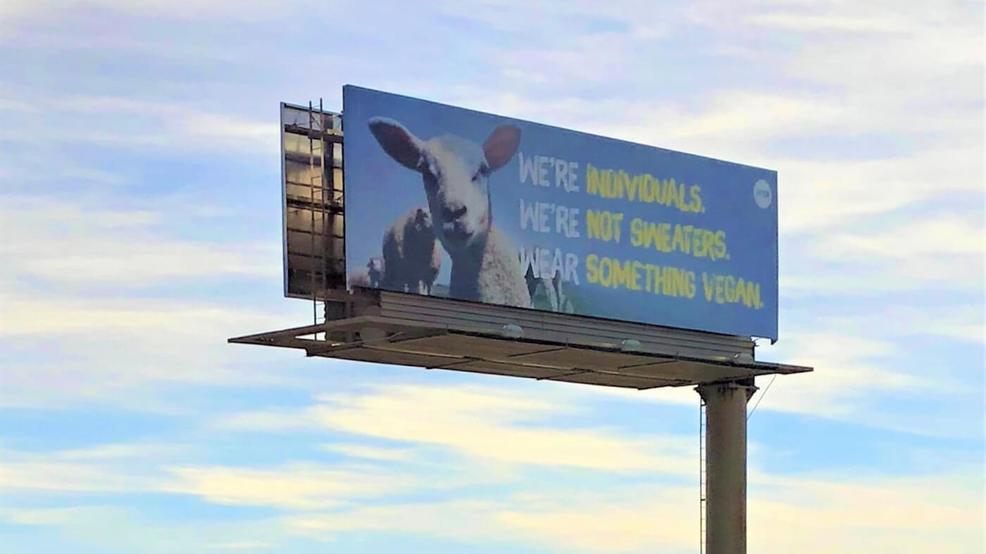 PETA billboard urges Salt Lake City to 'wear something vegan' | KUTV PETA billboard urges Salt Lake City to 'wear something vegan' | KUTV