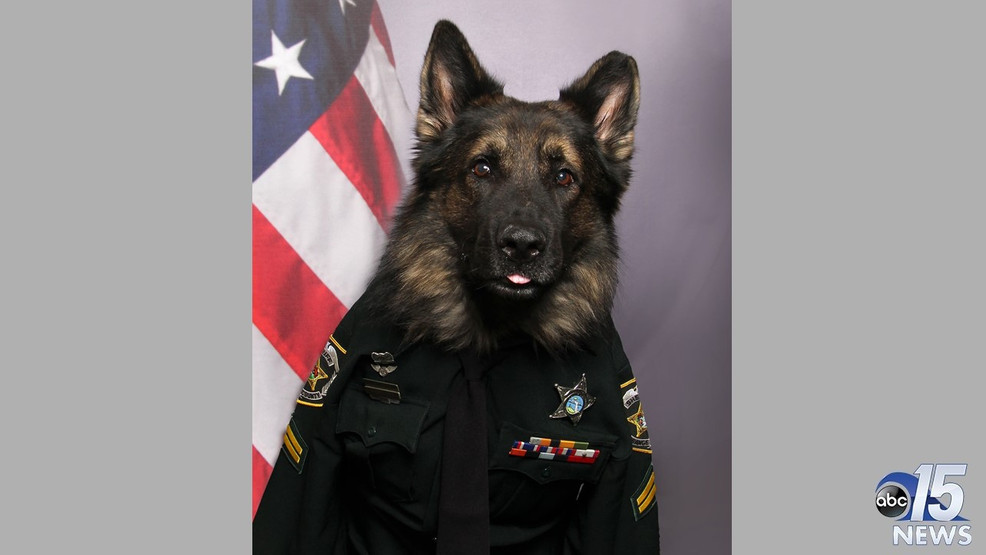 Florida police dog gets dressed up for ID badge photo | KSCC