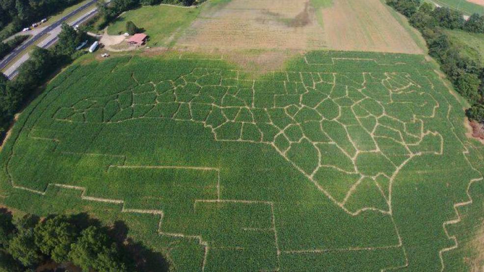 Macon corn maze depicts map of North Carolina | WLOS