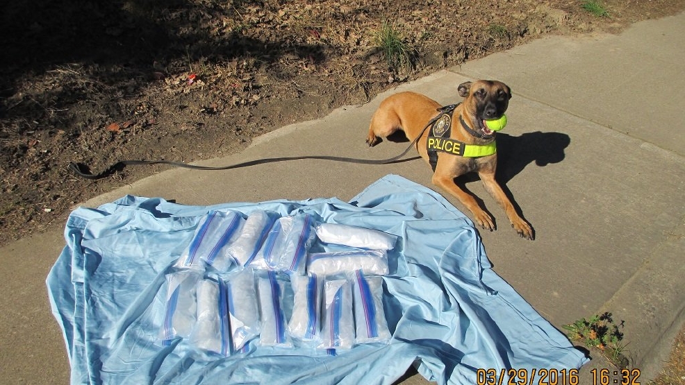 Drug dog finds 15 pounds of meth during Hillsboro traffic stop | KATU