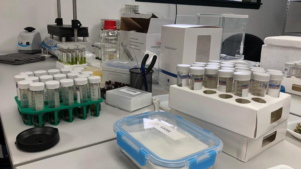 Medical marijuana must be tested at licensed laboratory beginning April ...